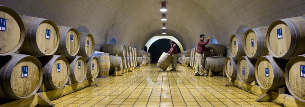 Bodega Martín Códax. Viñedos, vendimia y elaboración del albariño